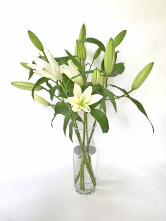 Shop - Flowers of Franklin