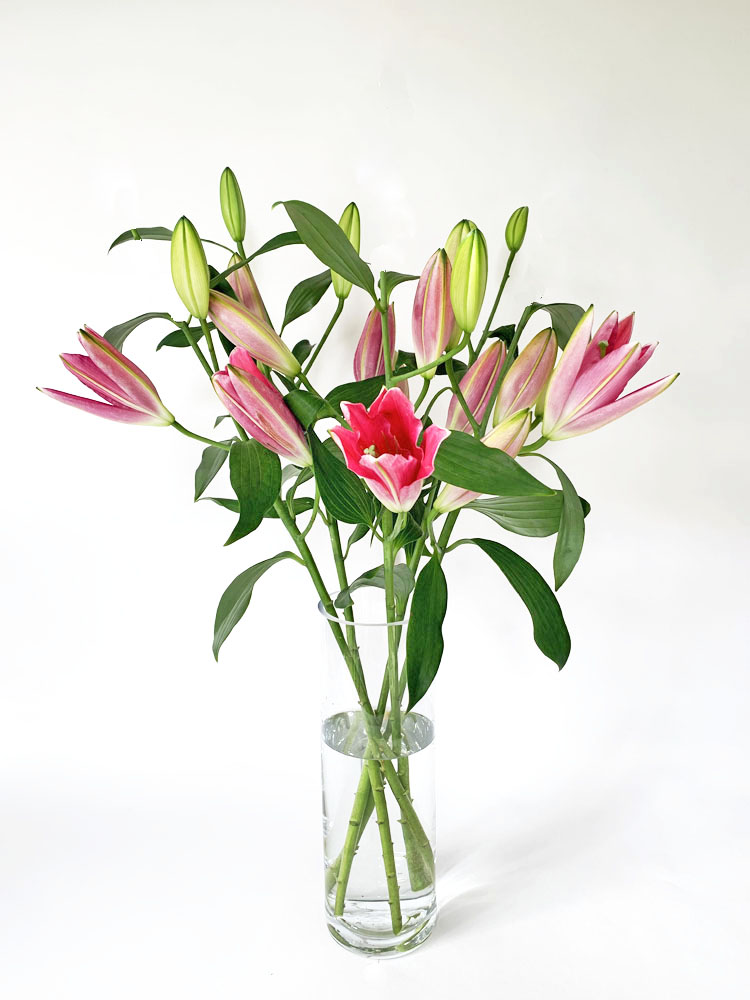 Shop - Flowers of Franklin